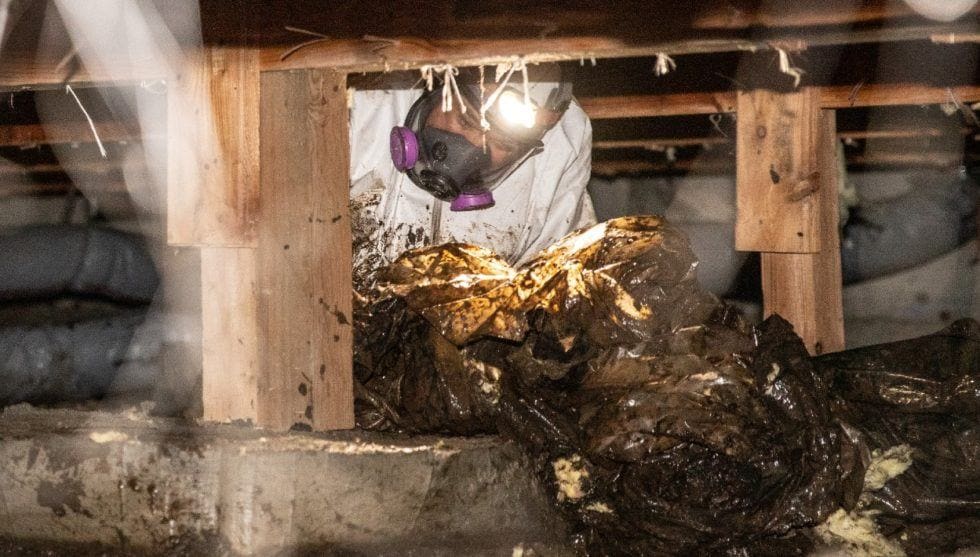 Crawl Space Cleanout Monroe| Crawl Pros Crawl Space Cleanout Monroe| Crawl Pros